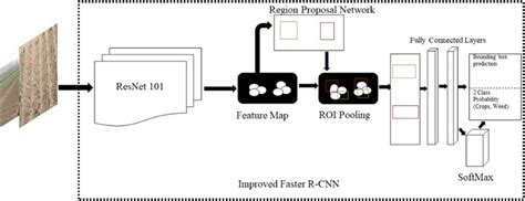 Improved Faster R Cnn Architecture Download Scientific Diagram