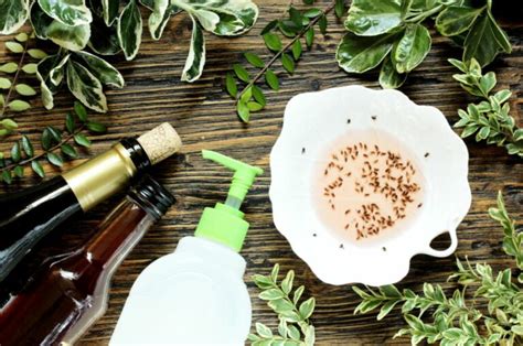 5 Proven Methods To Rid Your Yard Of Midges Once And For All