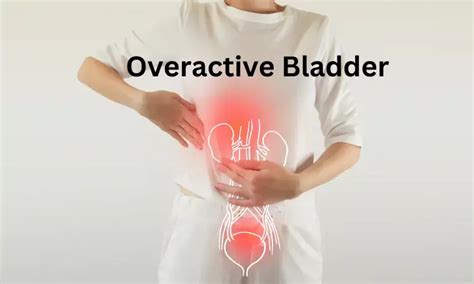 Which Are Effective Treatments For Reducing Nocturia Among Women With Overactive Bladder