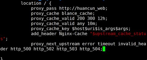 服务（第三十二篇）nginx做缓存服务器 Csdn博客