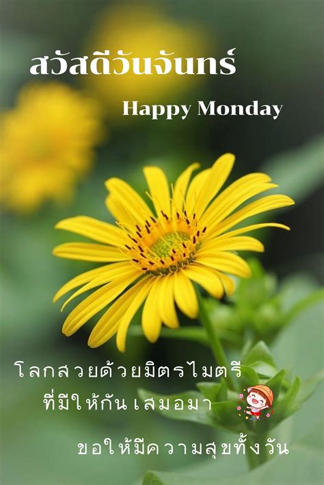 Pin On สวัสดีวันจันทร์ Happy Monday Day Wishes Happy