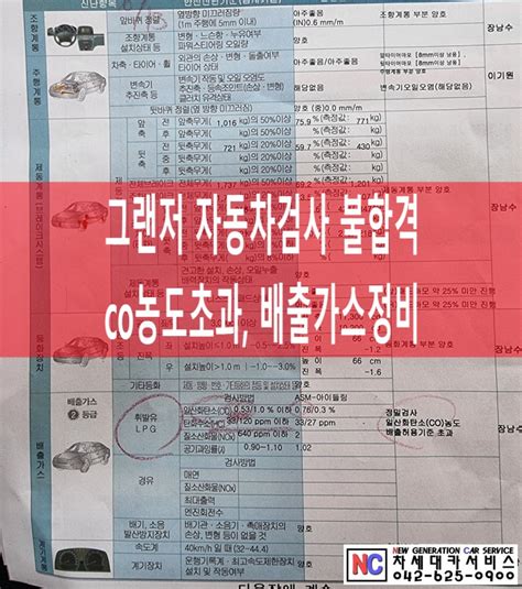 그랜저 배출가스 검사불합격 일산화탄소 Co 농도 배출허용기준 초과 자동차검사불합격 종합검사불합격 차량 전문정비 대전 배출가스 매연 전문정비 등록업소 차세대카서비스