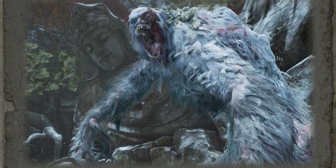 What Is The Best Order To Fight Sekiros Bosses