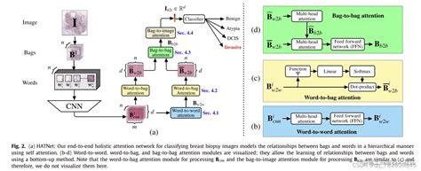 （wsi分类）wsi分类文献小综述本文已参与「新人创作礼」活动，一起开启掘金创作之路。 今天介绍一些wsi分类的文献。涉 掘金