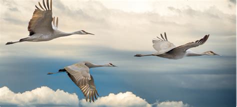 Why Opentap For Test Automation Opentap Blog