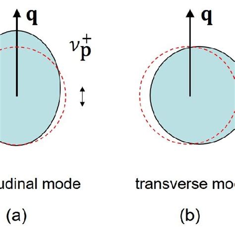 Illustration Of Collective Modes In 2d The Density Wave Is Propagating