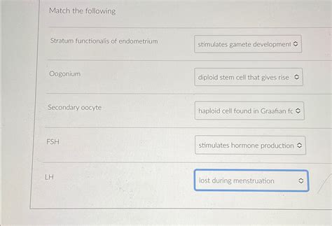 Solved Match The Followingstratum Functionalis Of