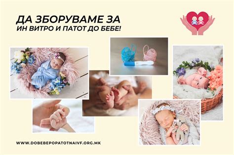 Seminarski Diplomski Proektni Trudovi Помош при изработка на дипломски и магистерски трудови