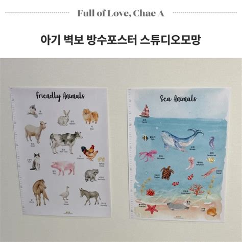 아기벽보 병풍 한글 숫자 방수포스터 스튜디오모망 네이버 블로그