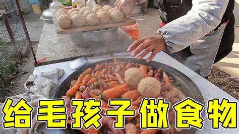 天冷老两口给毛孩子们做热腾腾的食物让它们能暖和一下身子 YouTube