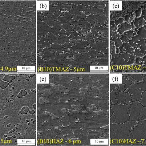 Microstructure Of Heat Affected Zone Download Scientific Diagram