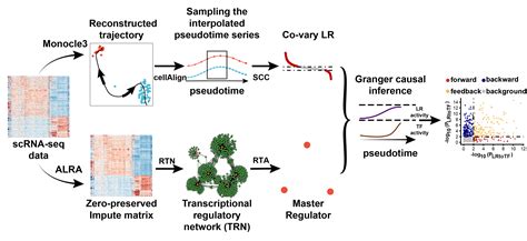 Timetalk Decipher Cell Cell Communication From Single Cell Rna Seq Datasets Rna Seq Blog