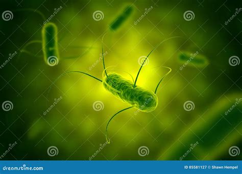 Bacterial Flagella Microscope