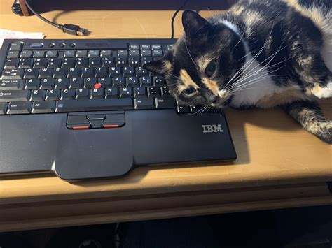 Happiness Is An Ibm Keyboard With Trackpoint R Thinkcat