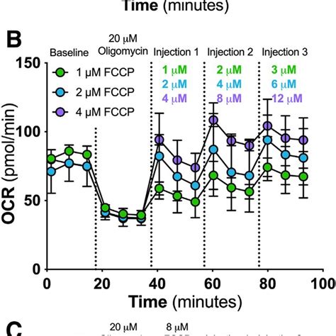 Titration And Dose Optimization Of Oligomycin Fccp And Rotaa In Download Scientific Diagram