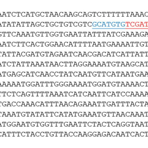 The Coding Sequence Of The B Ca Gene From S Mansoni The Predicted