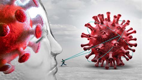 Immune Dysfunction Persists For Up To 8 Months After Initial Mild Or Moderate Sars Cov 2