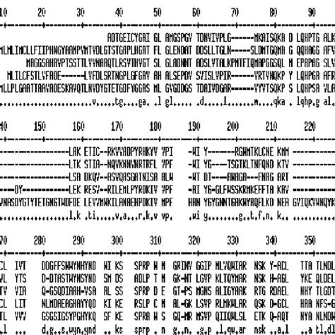 Multiple Sequence Alignment Analysis Of Ctgh39 Using Clustalx Multiple