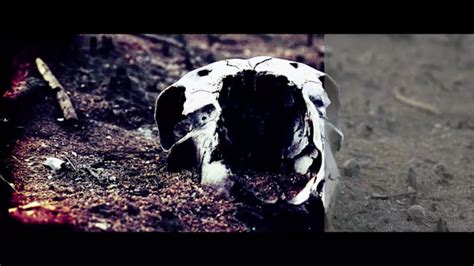 Do Color Grading Gamma Log Raw To Rec709 Clips By Remprod Fiverr