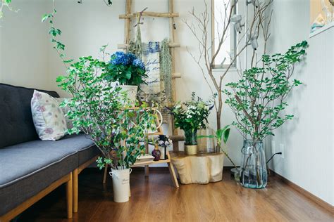 グリーンで最高のもてなしを演出する藍さんのリビング Goodroom Journal
