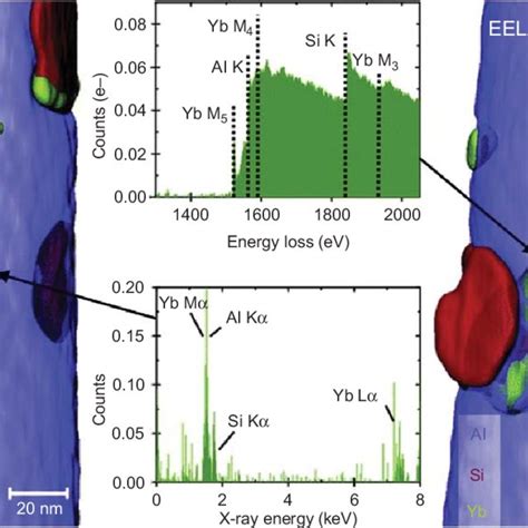 6 Surface Rendered Overlays Of Segmented Volumes From Eels And Eds