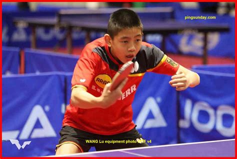 Wang Lu Equipment Pingsunday