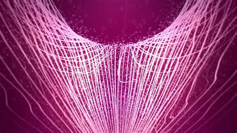 Seamless Loop Animation Of Abstract Pink Purple Background With White