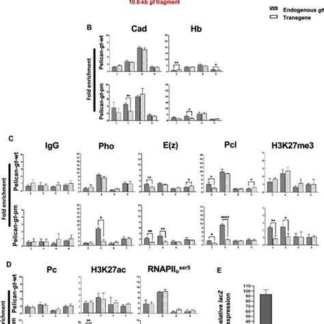 Histone Modifications Can Predict Compartmentalization Using Learned Download Scientific