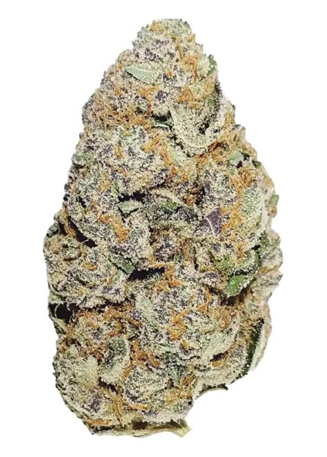 Candy Rain Cannabis Strain Diaries Growdiaries