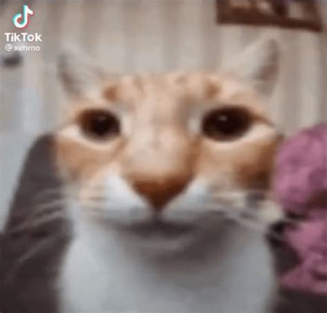 Korrina January Th Lyrics Genius Lyrics