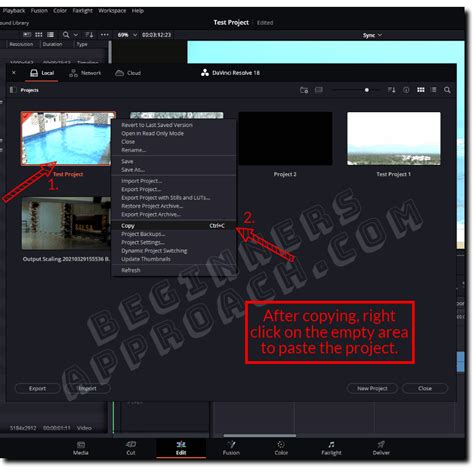 Duplicate Clip And Project In Davinci Resolve 2025 Updated