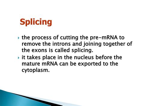 Ppt Hnrna Processing Powerpoint Presentation Free Download Id 7121988