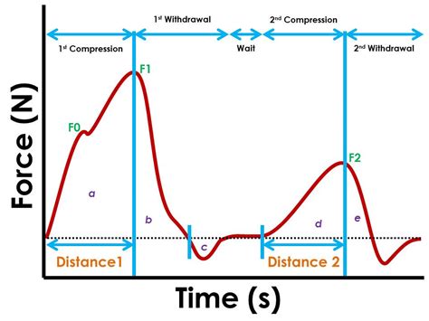 Texture Analysis And Texture Profile Analysis Rheology Lab