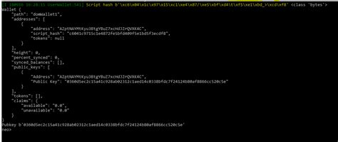Tutorial For Developing Smart Contract On The Neo Blockchain Ep4