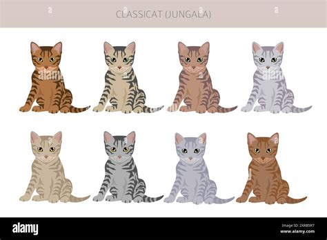Classicat Jungala Cat Clipart All Coat Colors Set All Cat Breeds