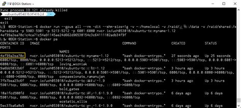 Dockerfile Collection For Dgx 230 Dockerfiles