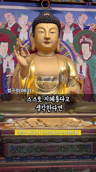 그는 참으로 어리석은 사람이다 법구경063 밀양 용궁사 아미타불 Youtube