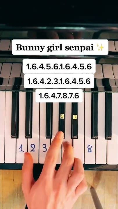 Bunny Girl Senpai Piano Tutorial Youtube