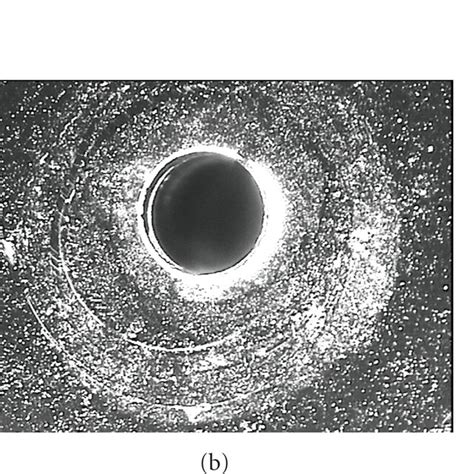 Mems Representing Test Sample In Cross Section Download Scientific Diagram