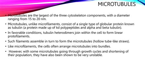 Cytoskeleton Structure Ppt