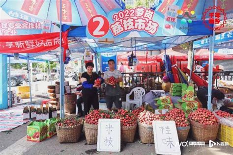 广州黄埔举办千年荔枝文化节首次推出百年荔枝VR地图 品种 农民合作社 古荔