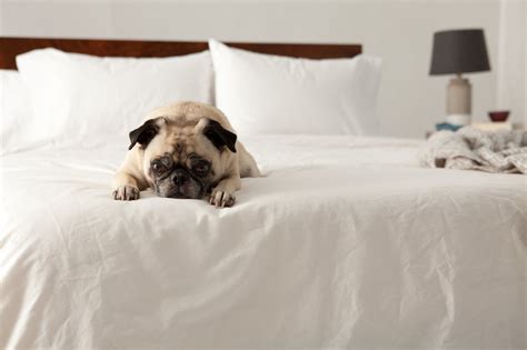 5 Ways To Beat The Winter Blues