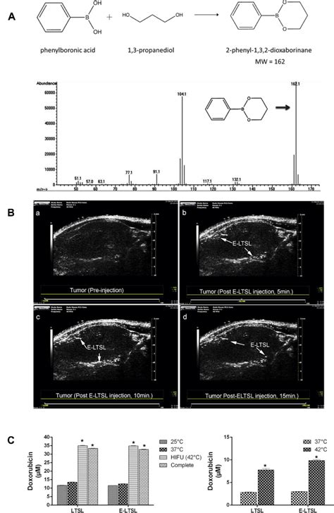 A Schematic Representation Showing The Structure Of Derivatized Download Scientific Diagram