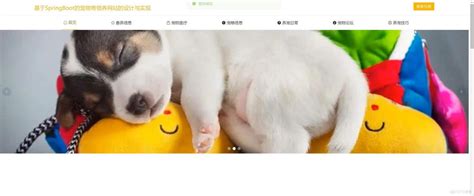 基于springboot的宠物寄领养网站的设计与实现 Java —计算机毕业设计源码lw文档毕设大神的技术博客51cto博客