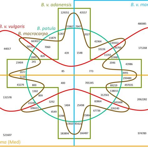 Venn Diagram Of Shared And Private Single Nucleotide Variants Snvs Download Scientific