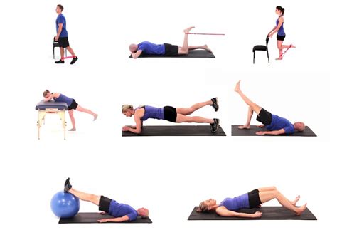 Proximal Hamstring Tendinopathy Exercise Protocol Pogo Physio Gold Coast