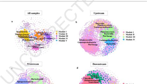 Differential Otus And Beta Diversity Of The Bacterial Communities In Download Scientific