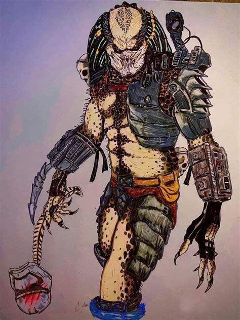 Another Drawing Predator Rpredator