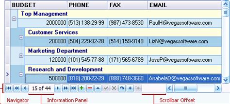 Navigator VCL DevExpress Documentation