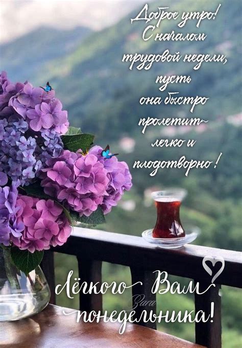С добрым утречком понедельника